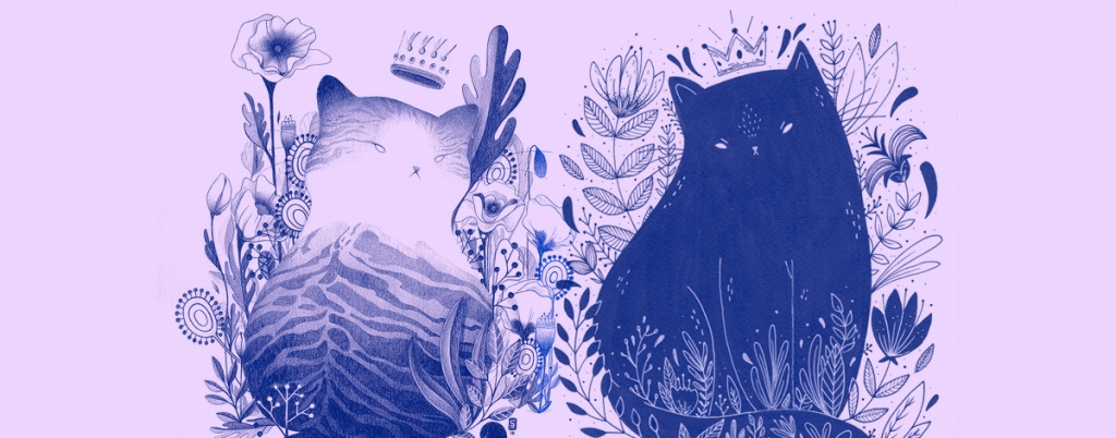 8 მითი კატების შესახებ - AT