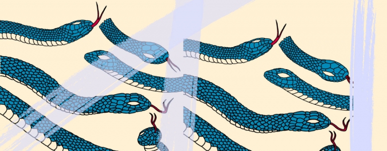 ყველაფერი გველებზე - ბიოლოგ ვასილ გაბუნიას რჩევები - AT